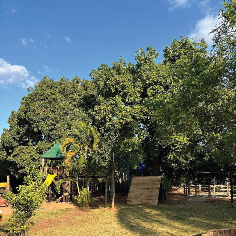 Gallery | Crestview Academy