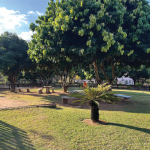 Gallery | Crestview Academy